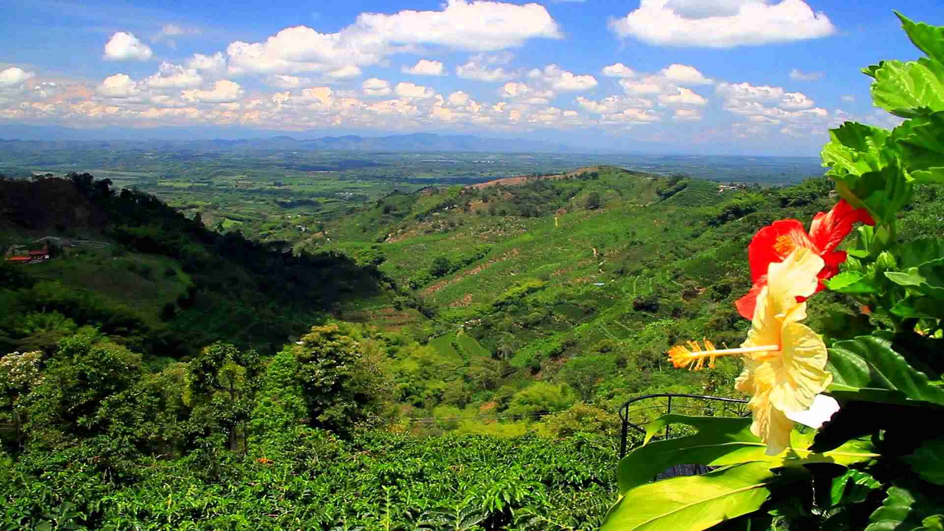 Eje Cafetero Armenia :: PCM REPS Agencia mayorista de viajes